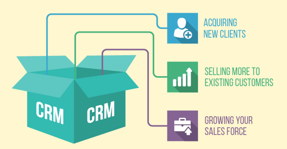 CRM Market Statistics in Charts and Graphs
