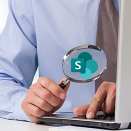 Testing and QA: Software products - Case Studies - Page 4