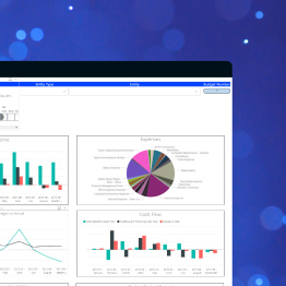 Professional Services Industry: Case Studies - ScienceSoft