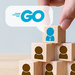 Golang Development - Case Studies