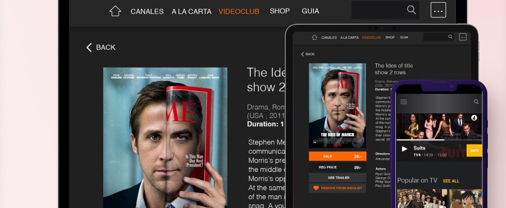 Software Development: Frontend (JS, HTML, CSS) & Team augmentation Case Studies - ScienceSoft