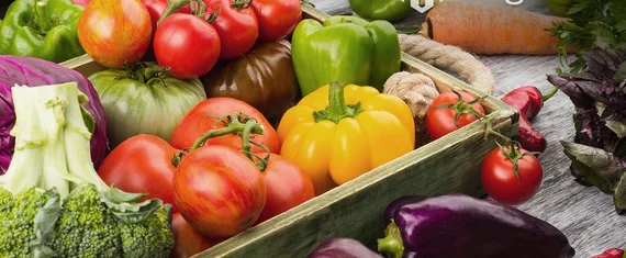 Ecommerce: Consumer Goods Case Studies - ScienceSoft