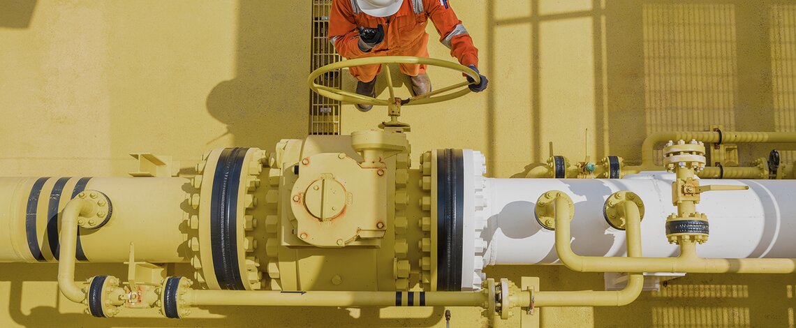 IT Operations: Implementation and customization & Manufacturing Case Studies - ScienceSoft