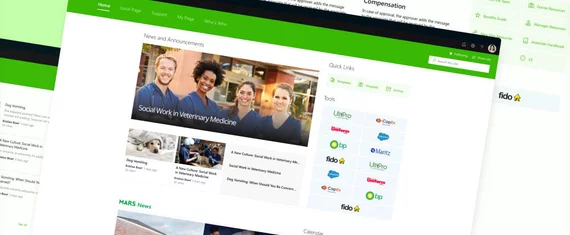 Healthcare: Intranet & .NET Case Studies - ScienceSoft