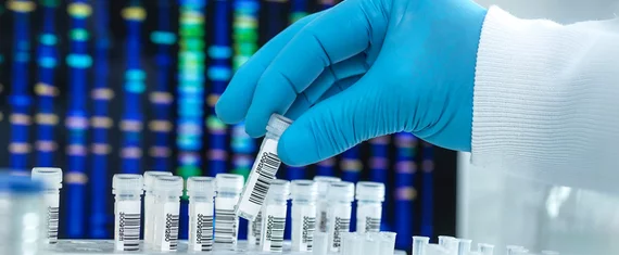 IT Operations: C/C++ & Development Case Studies - ScienceSoft