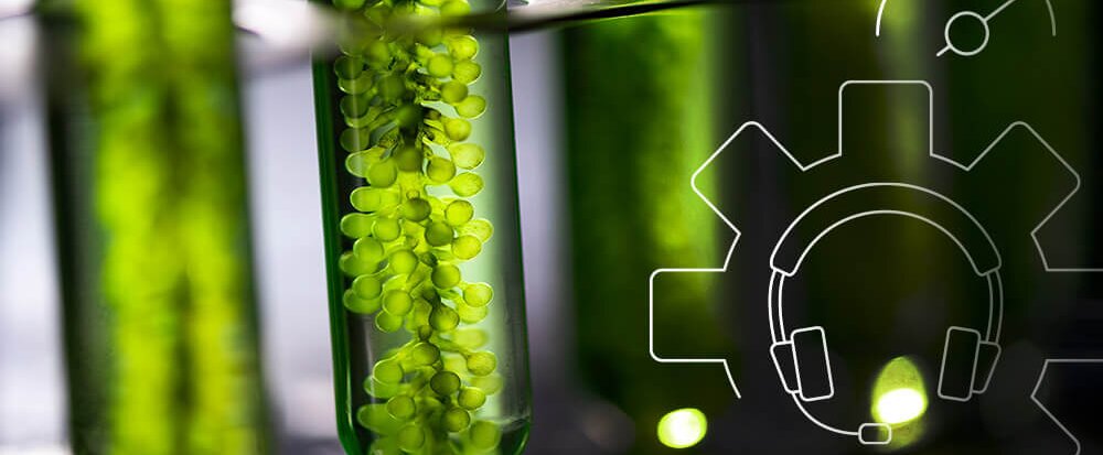 Healthcare: Help desk Case Studies - ScienceSoft