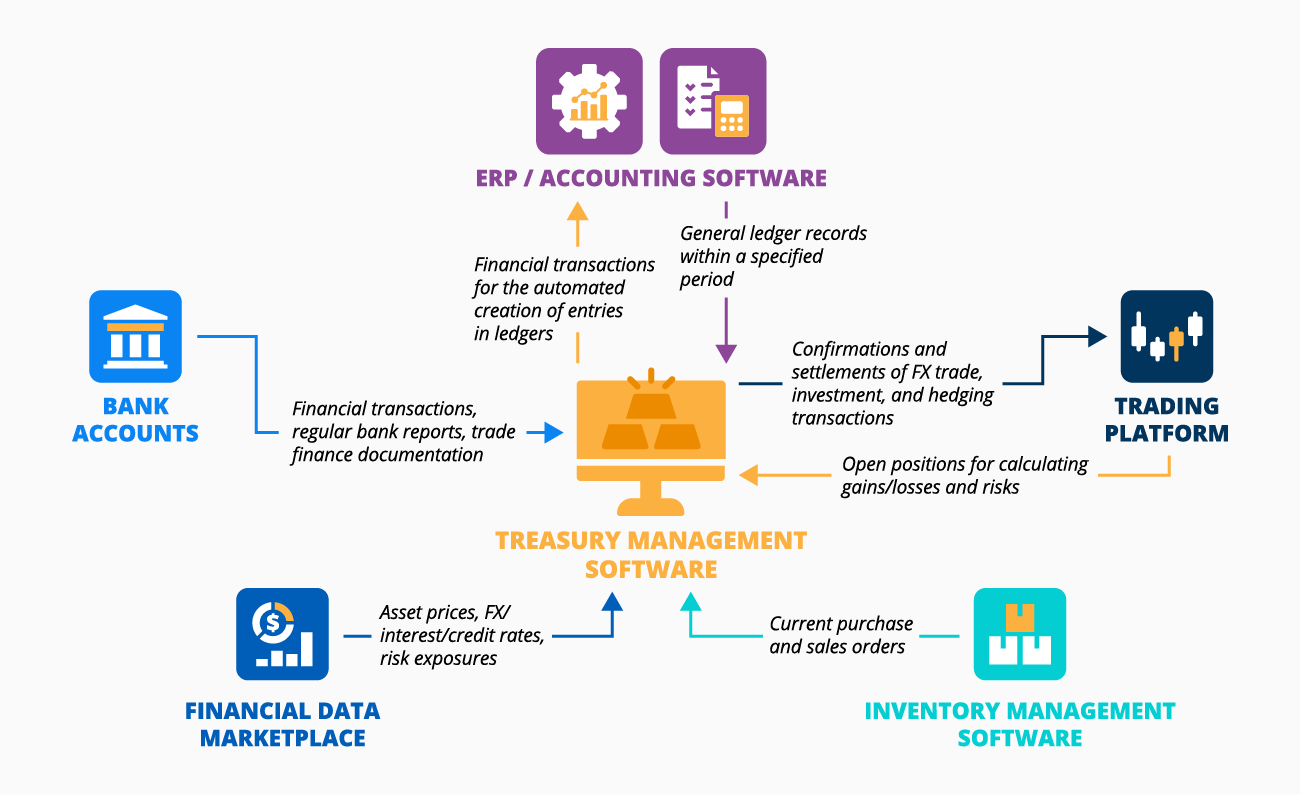 Treasury Management Software: All-Around Overview