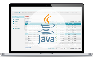 Java microservices for project managers